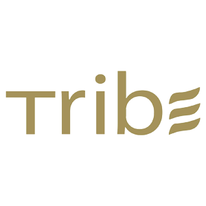 Services – Trainex Limited